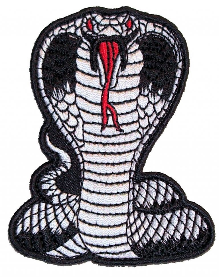 Striking Cobra Snake Embroidered Biker Patch – Leather Supreme